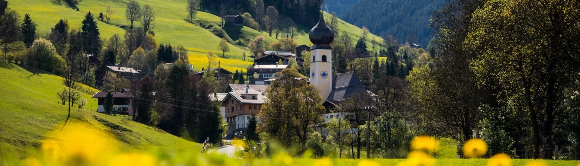 Aurach bei Kitzbühel - Aurum Immobilien - Kirchberg in Tirol
